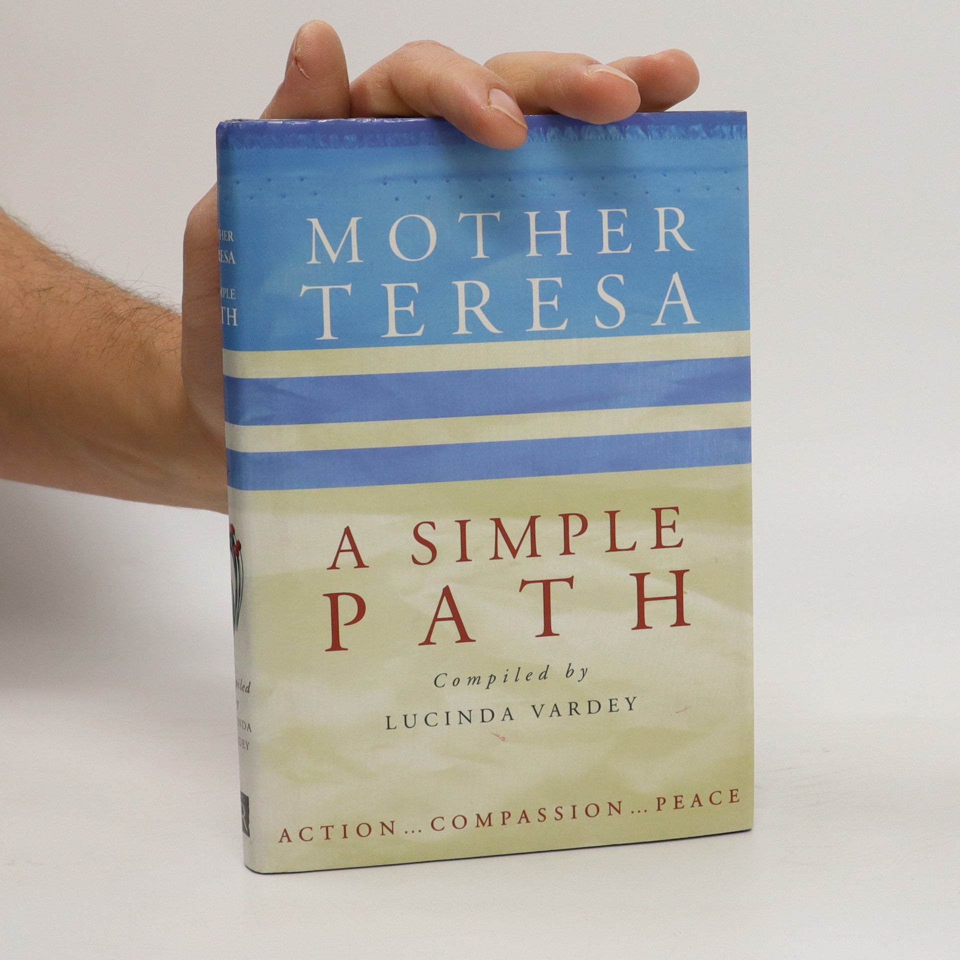 A simple path - Vardey, Lucinda - knihobot.cz