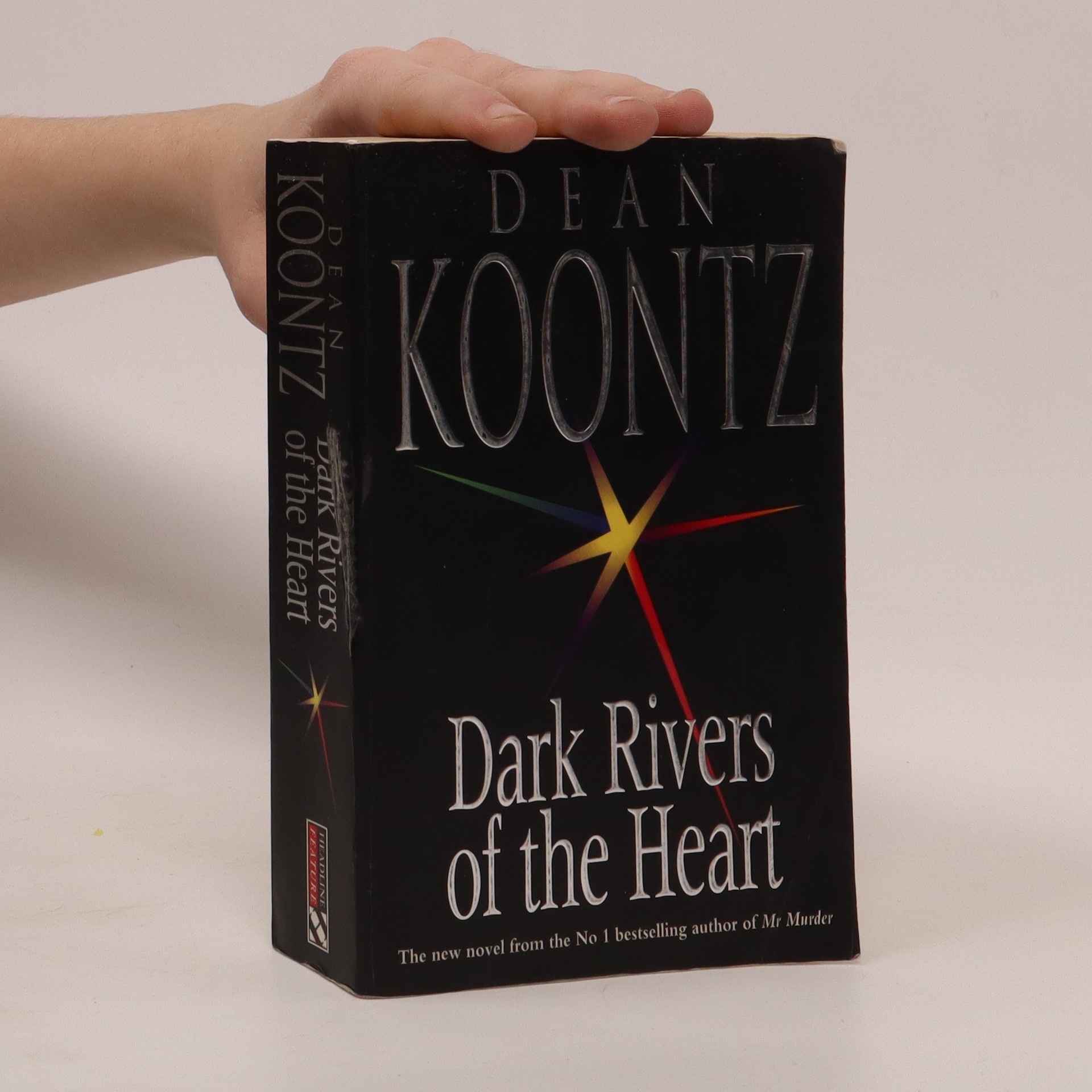 Dark Rivers of the Heart - Koontz, Dean - knihobot.cz