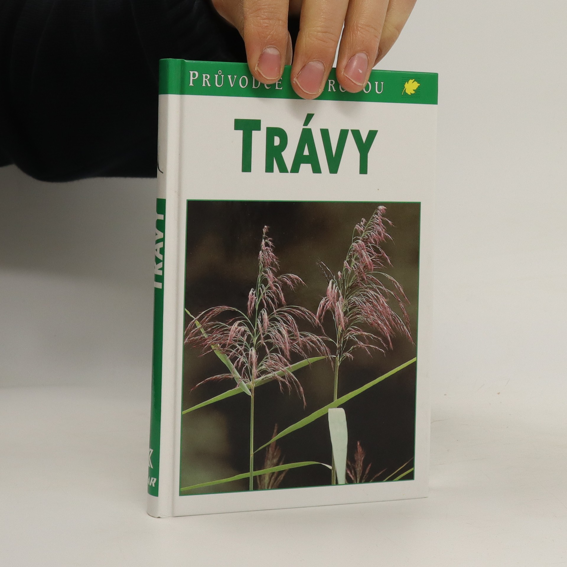 Trávy: lipnicovité, šáchorovité, sítinovité a rostliny podobné travám ...