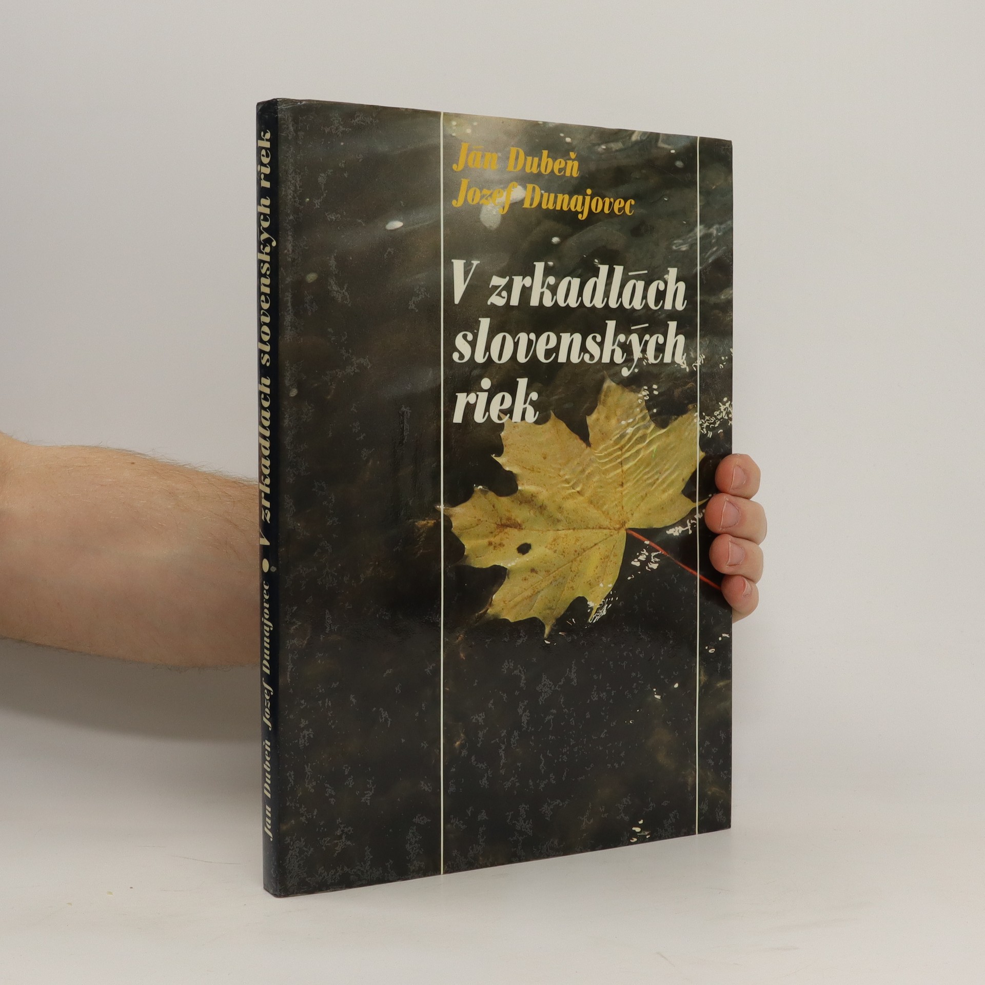 V zrkadlách slovenských riek - Dubeň, Ján - knihobot.cz