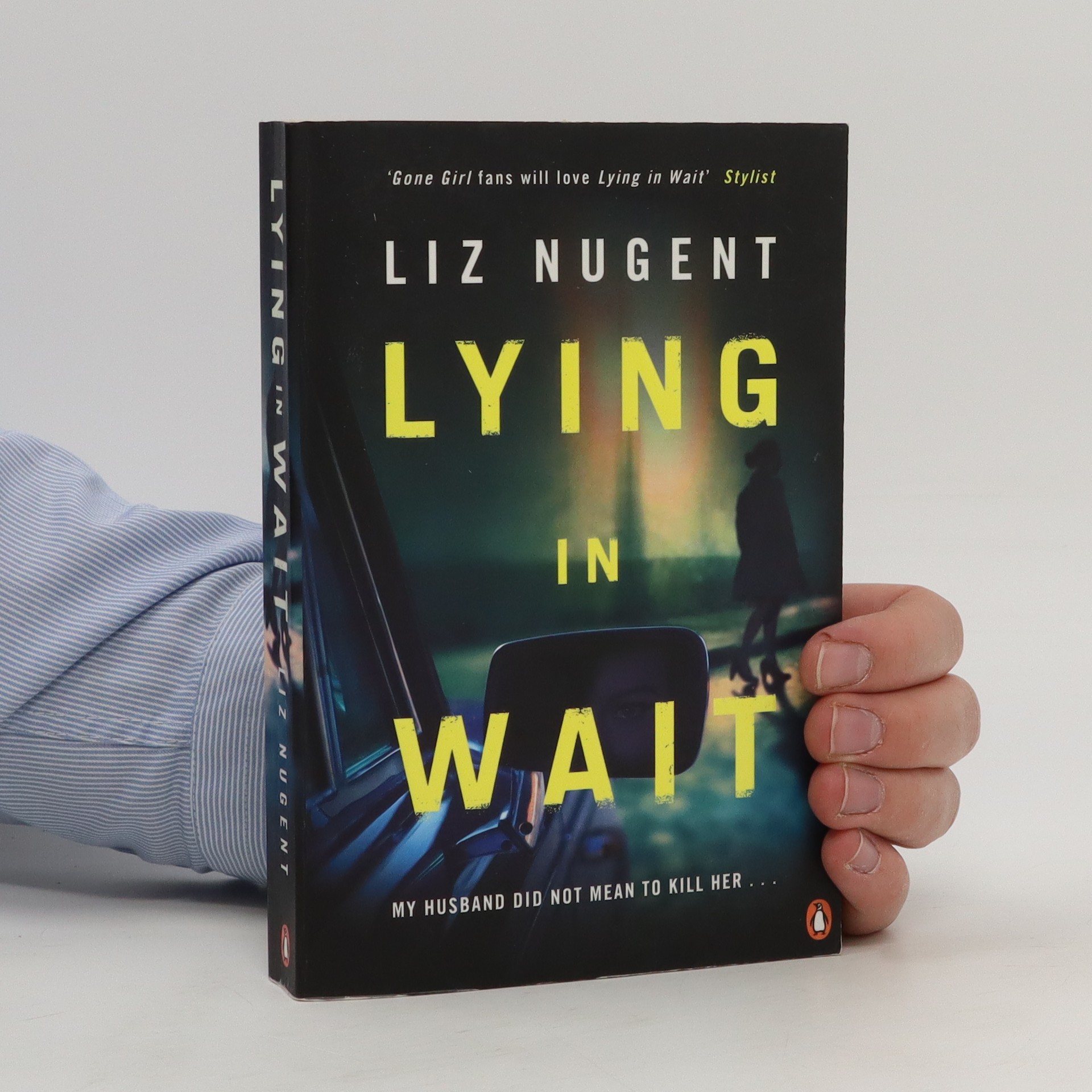 Lying in wait - Nugent, Liz - knihobot.cz