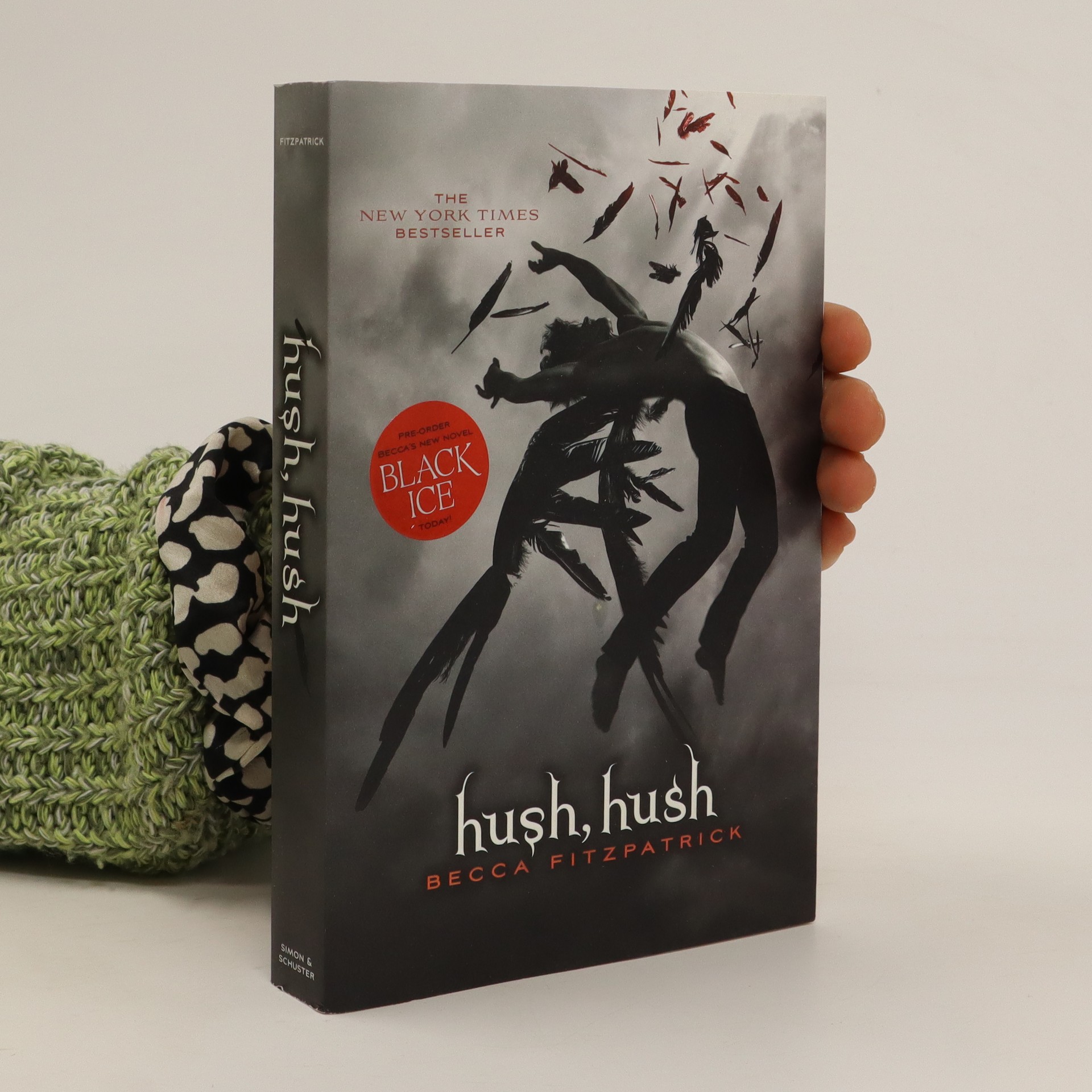Hush, Hush - Fitzpatrick, Becca - knihobot.cz
