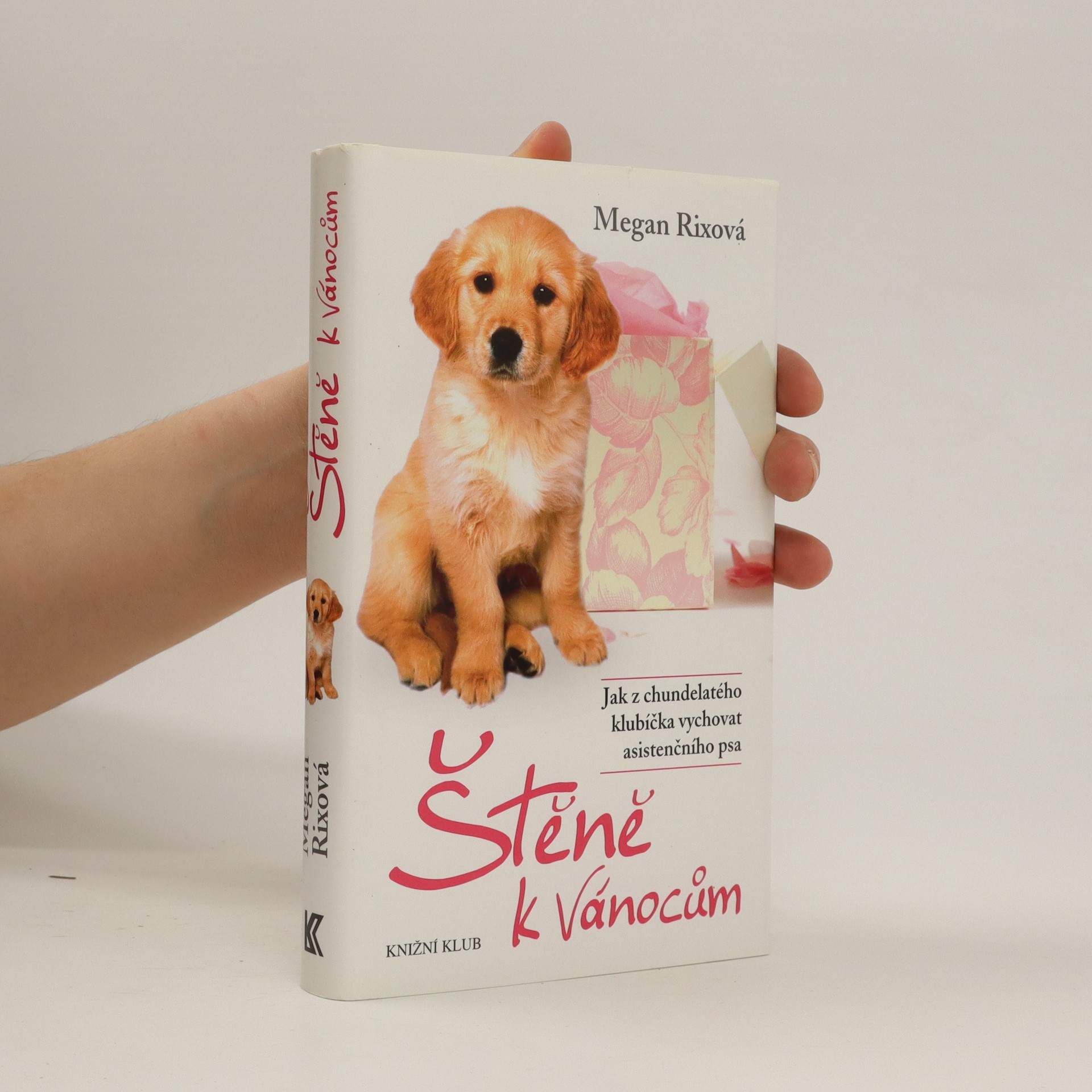 Štěně k Vánocům - Megan Rix - knihobot.cz