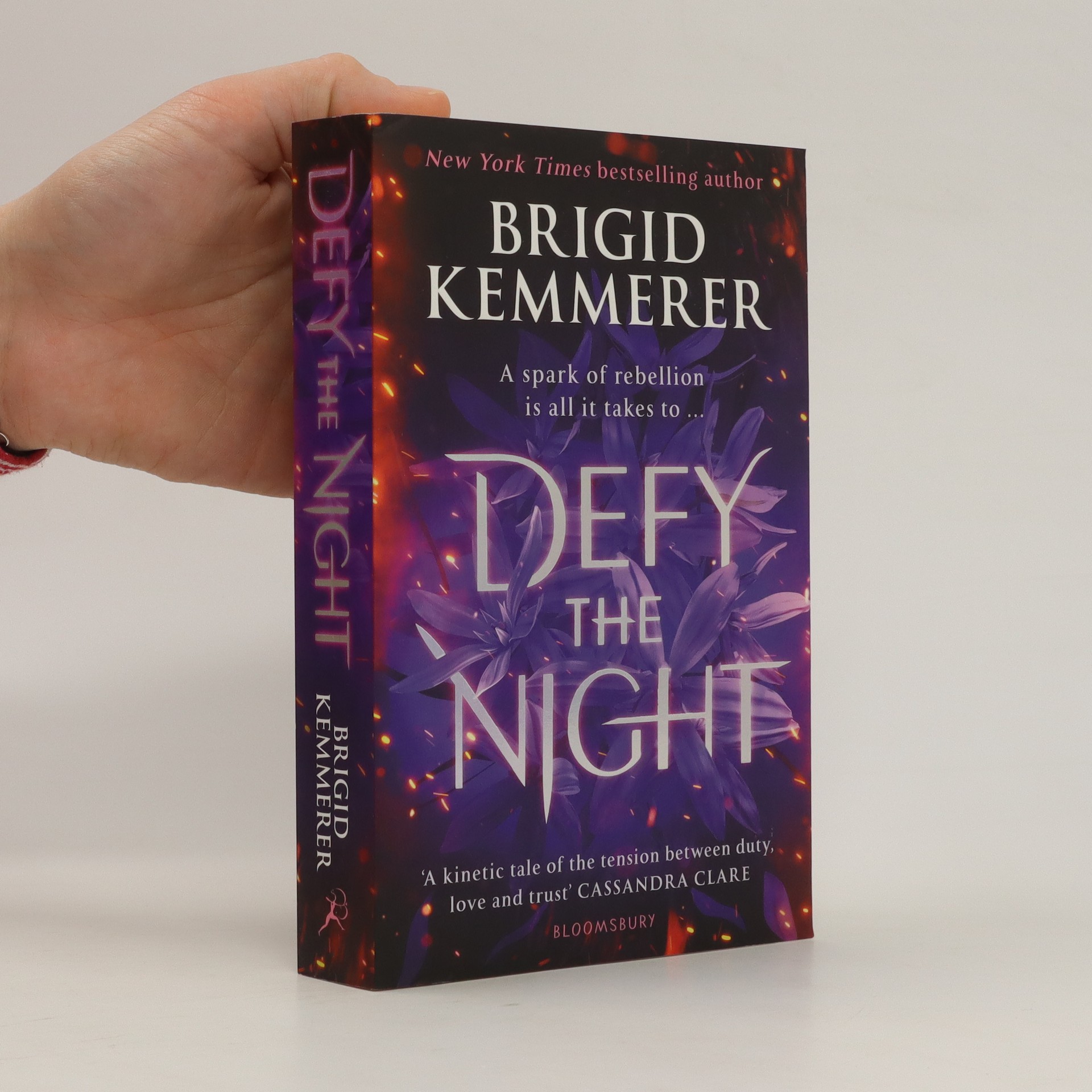 Defy the night - Kemmerer, Brigid - knihobot.cz