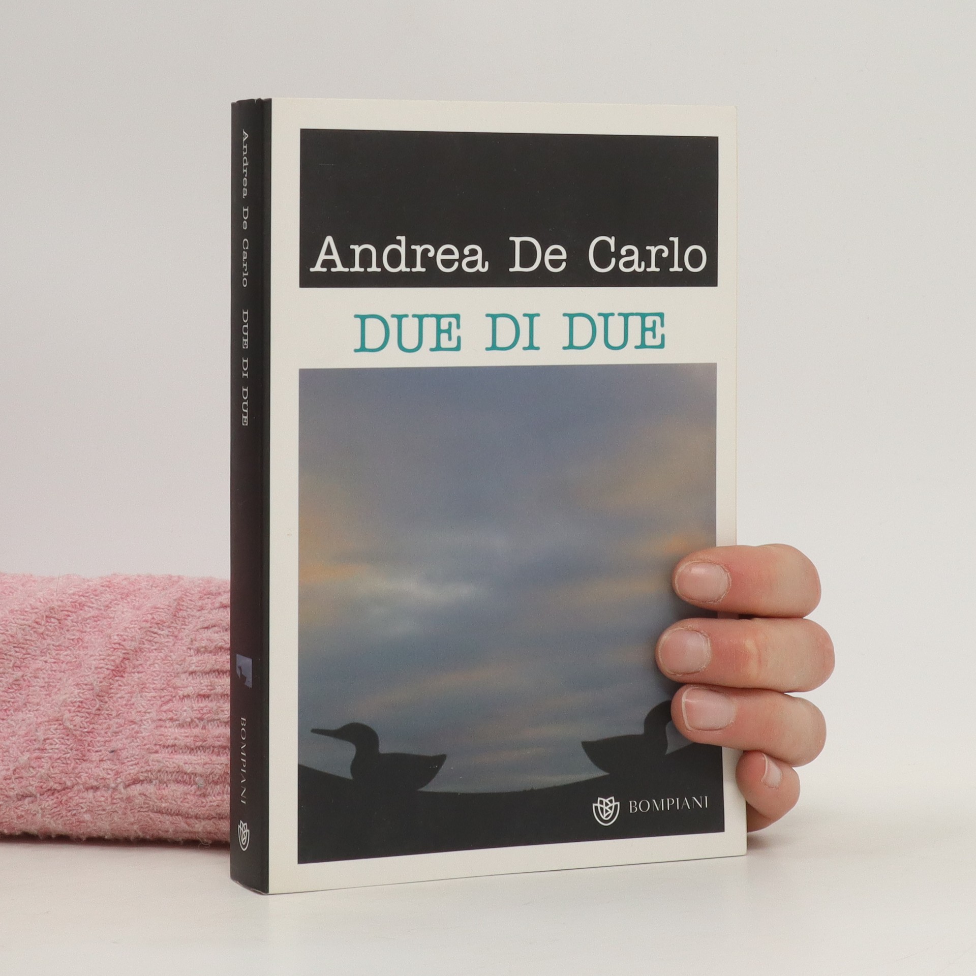 Due di due : romanzo - De Carlo, Andrea - knihobot.cz