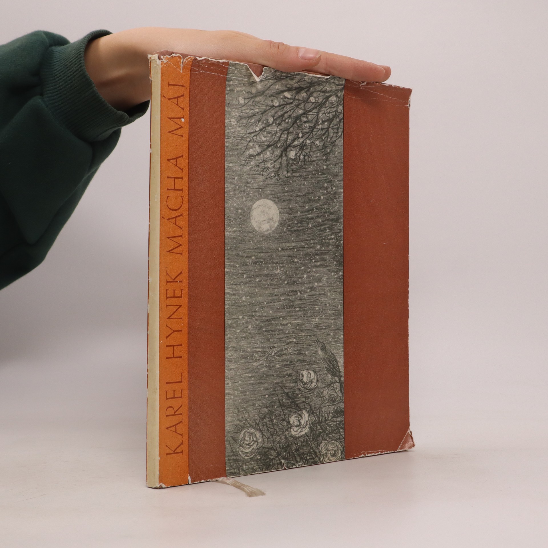 Máj - Mácha, Karel Hynek - knihobot.cz