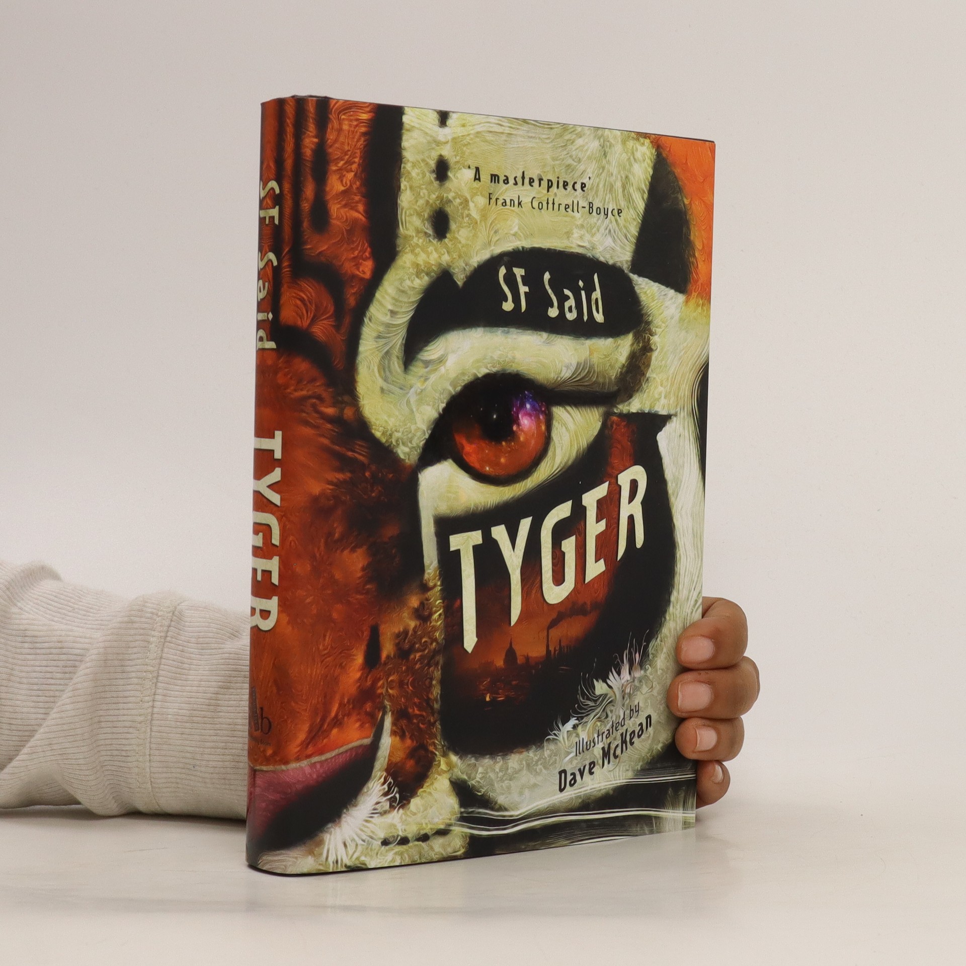 Tyger - S. F. Said - knihobot.sk