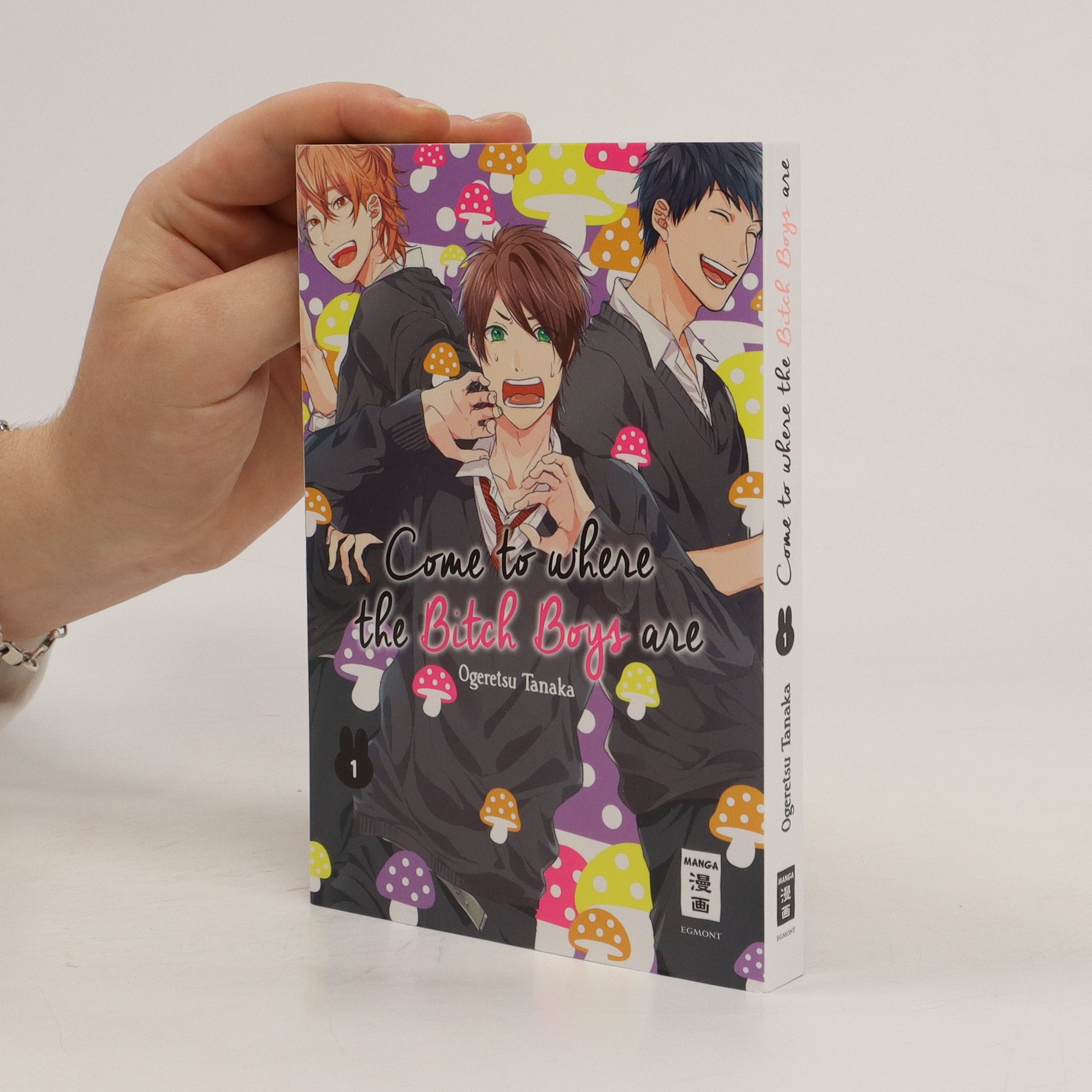 Come to where the Bitch Boys are vol. 1 (německy) - Tanaka, Ogeretsu - knihobot.cz