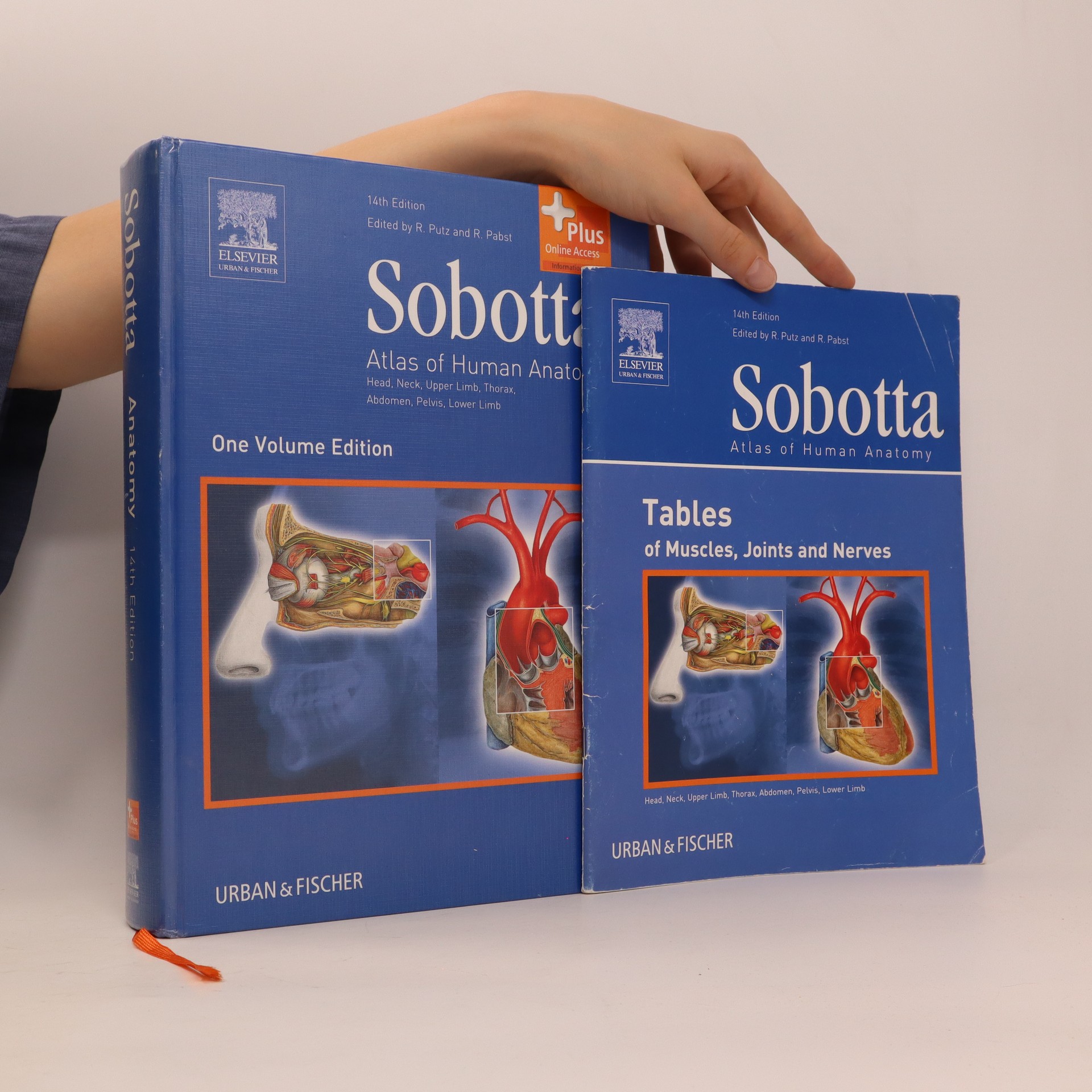 Sobotta Atlas Of Human Anatomy: One Volume Edition + Tables Of Muscles ...