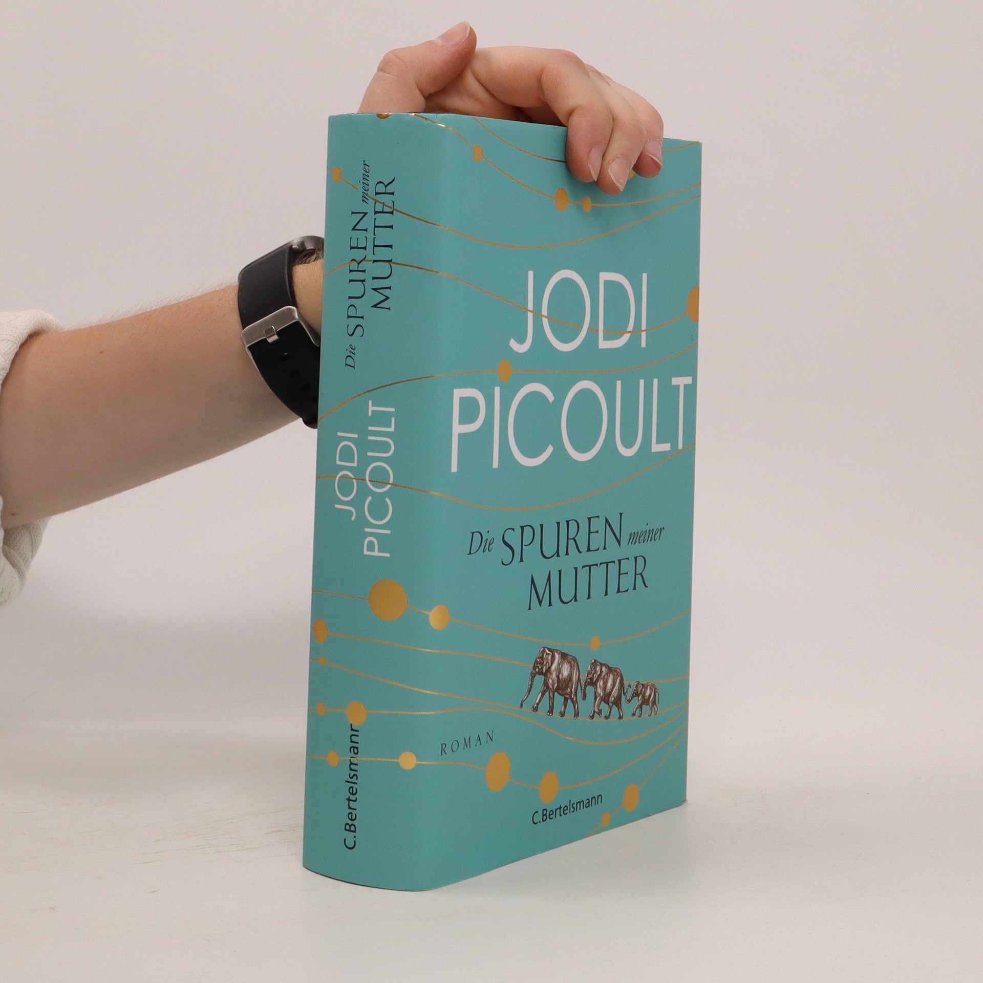 Die Spuren meiner Mutter - Picoult, Jodi - knihobot.cz