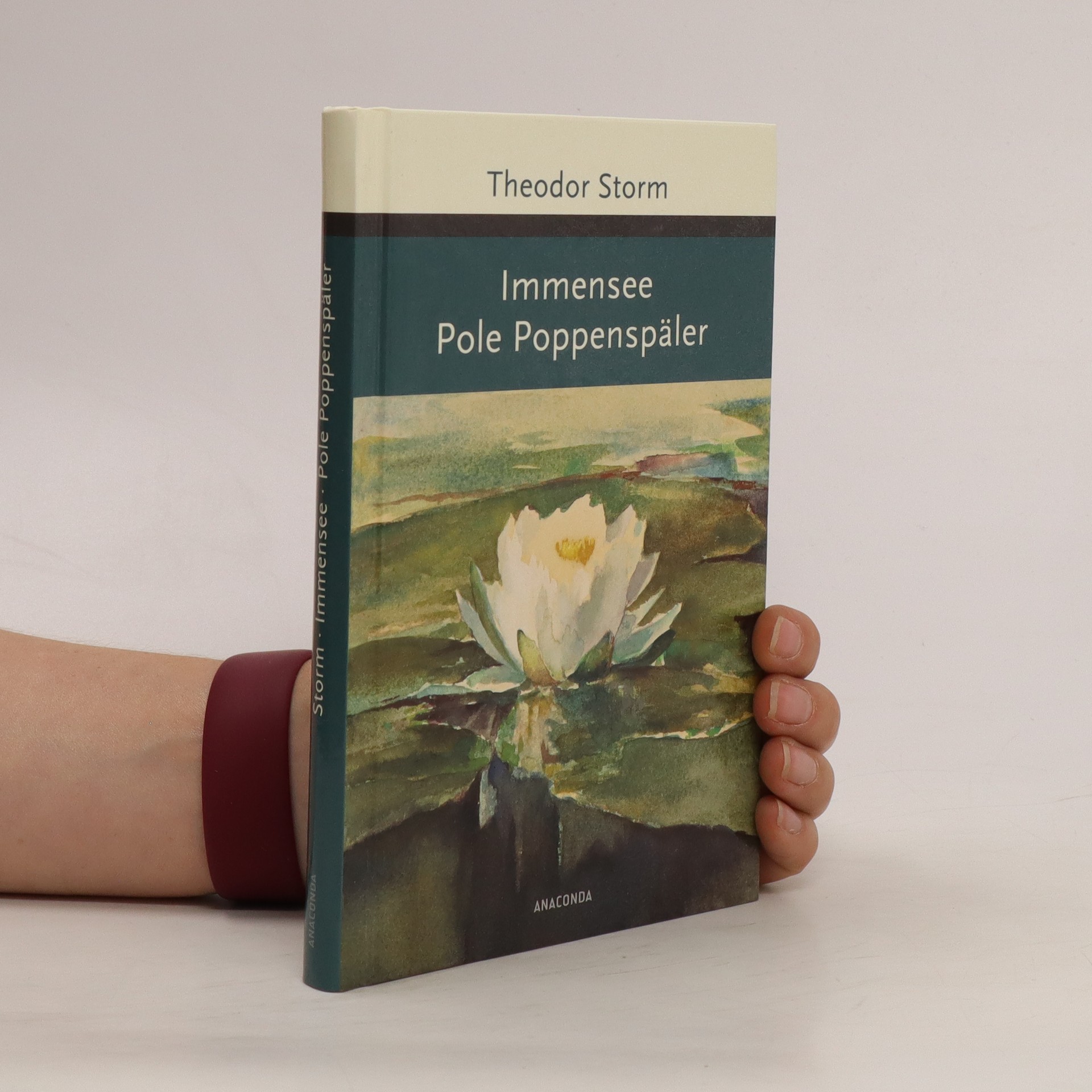 Immensee. Pole Poppenspäler - Storm, Theodor - knihobot.cz