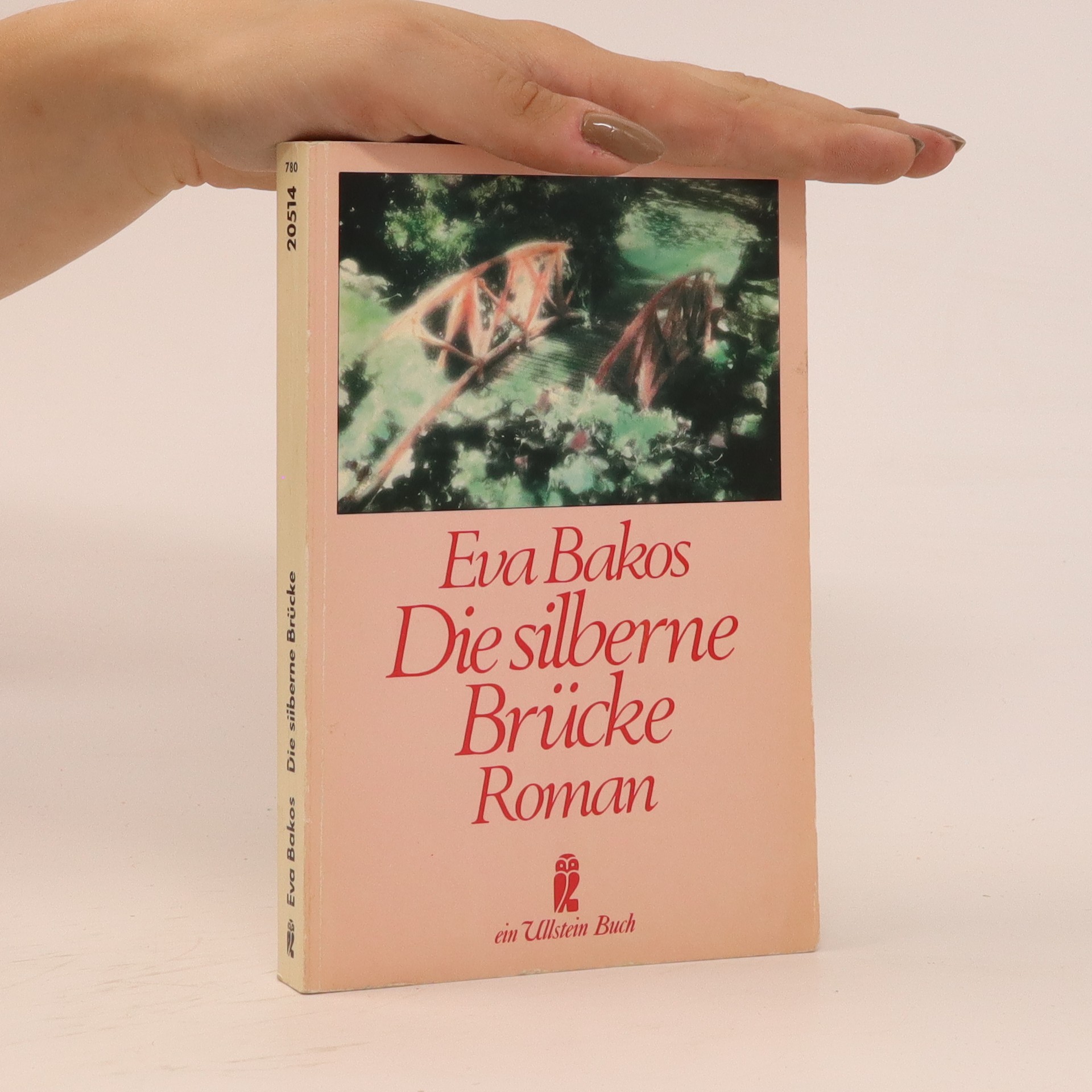 Die silberne Brücke - Eva Bakos - knihobot.cz