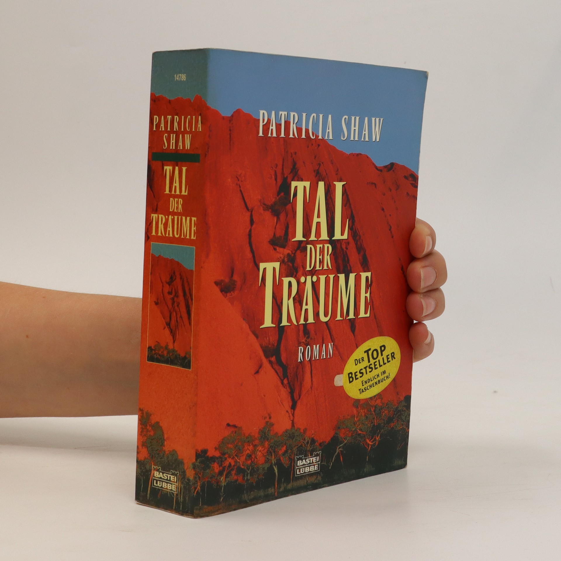 Tal der träume - Patricia Shaw - knihobot.cz