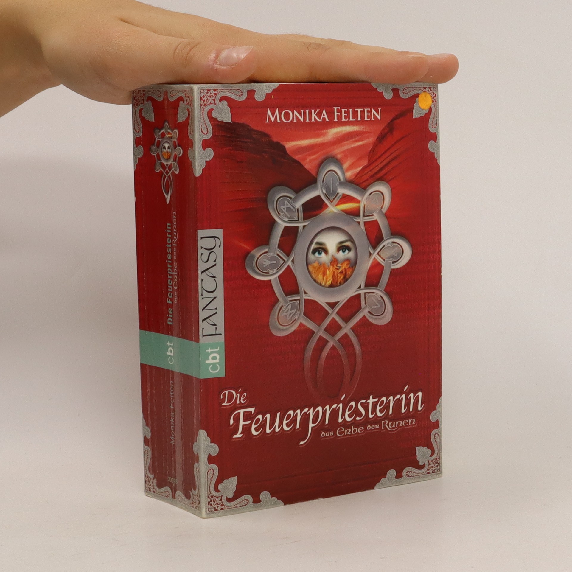 Das Erbe der Runen 2: Die Feuerpriesterin - Monika Felten - knihobot.cz