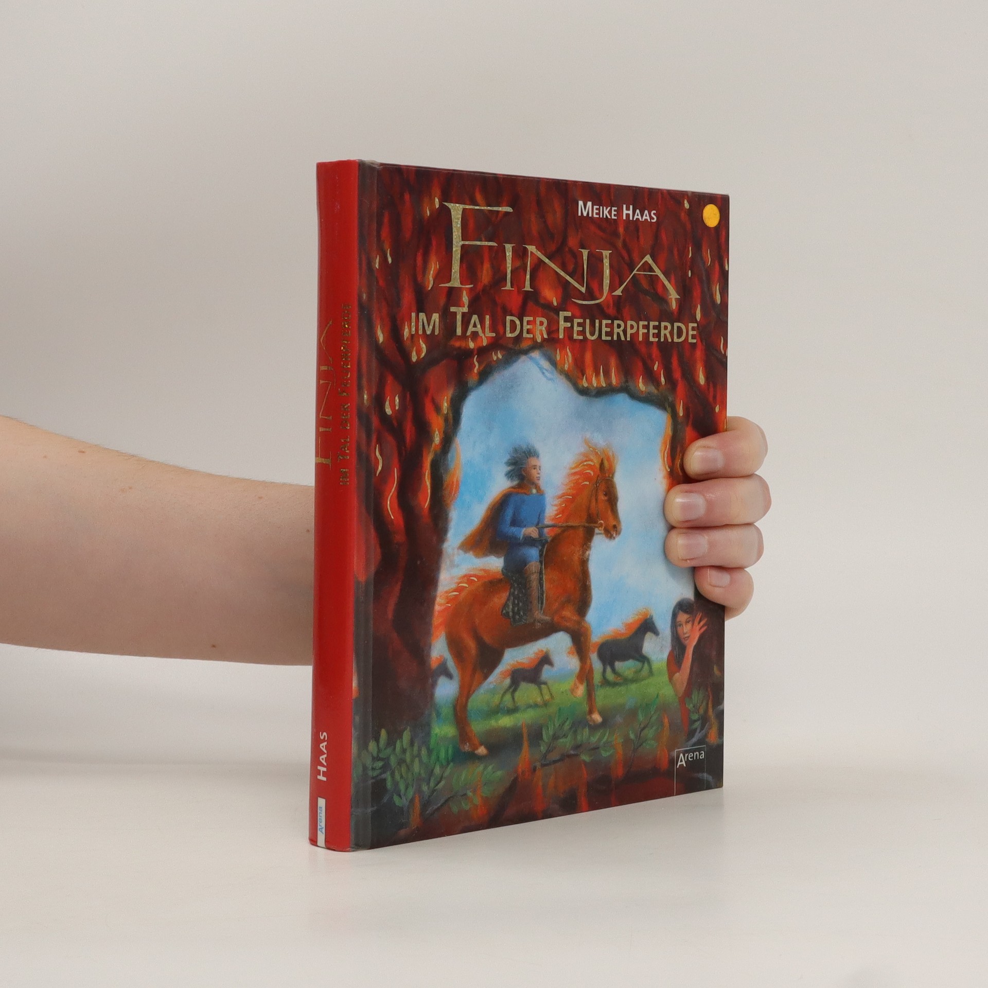Finja im Tal der Feuerpferde - Meike Haas - knihobot.cz