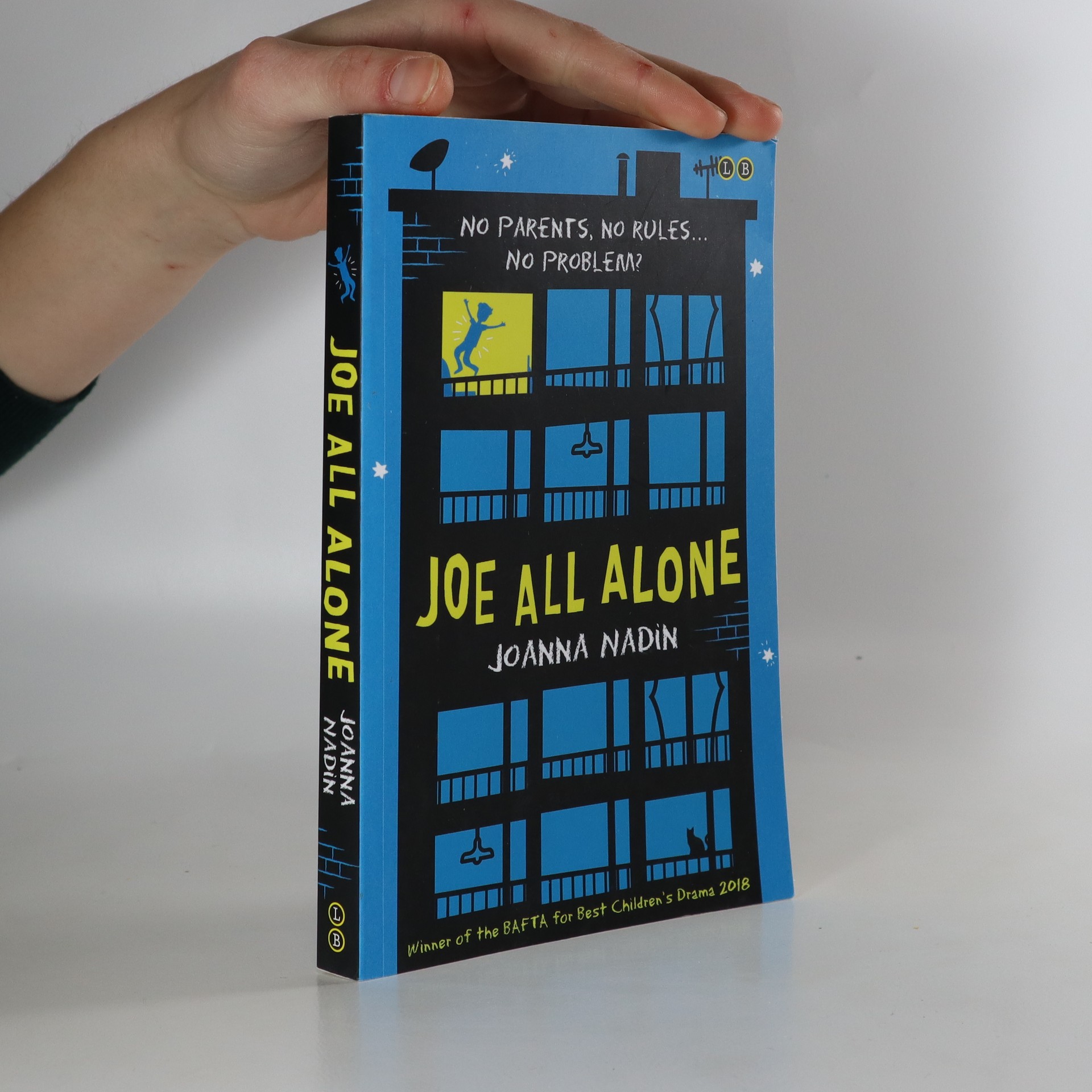 Joe All Alone - Nadin, Joanna - knihobot.cz
