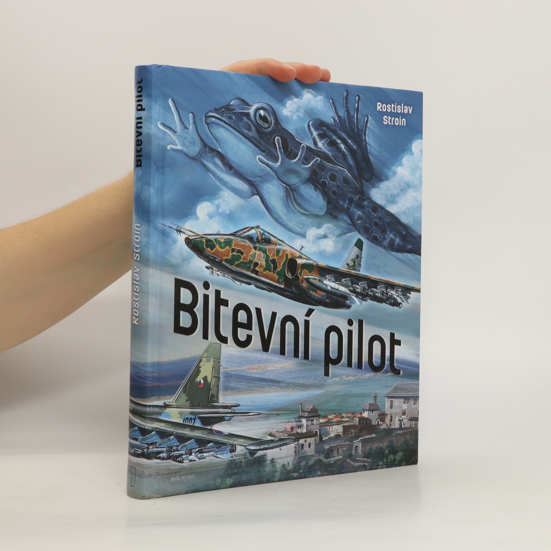 Bitevní pilot - Rostislav Stroin - knihobot.cz