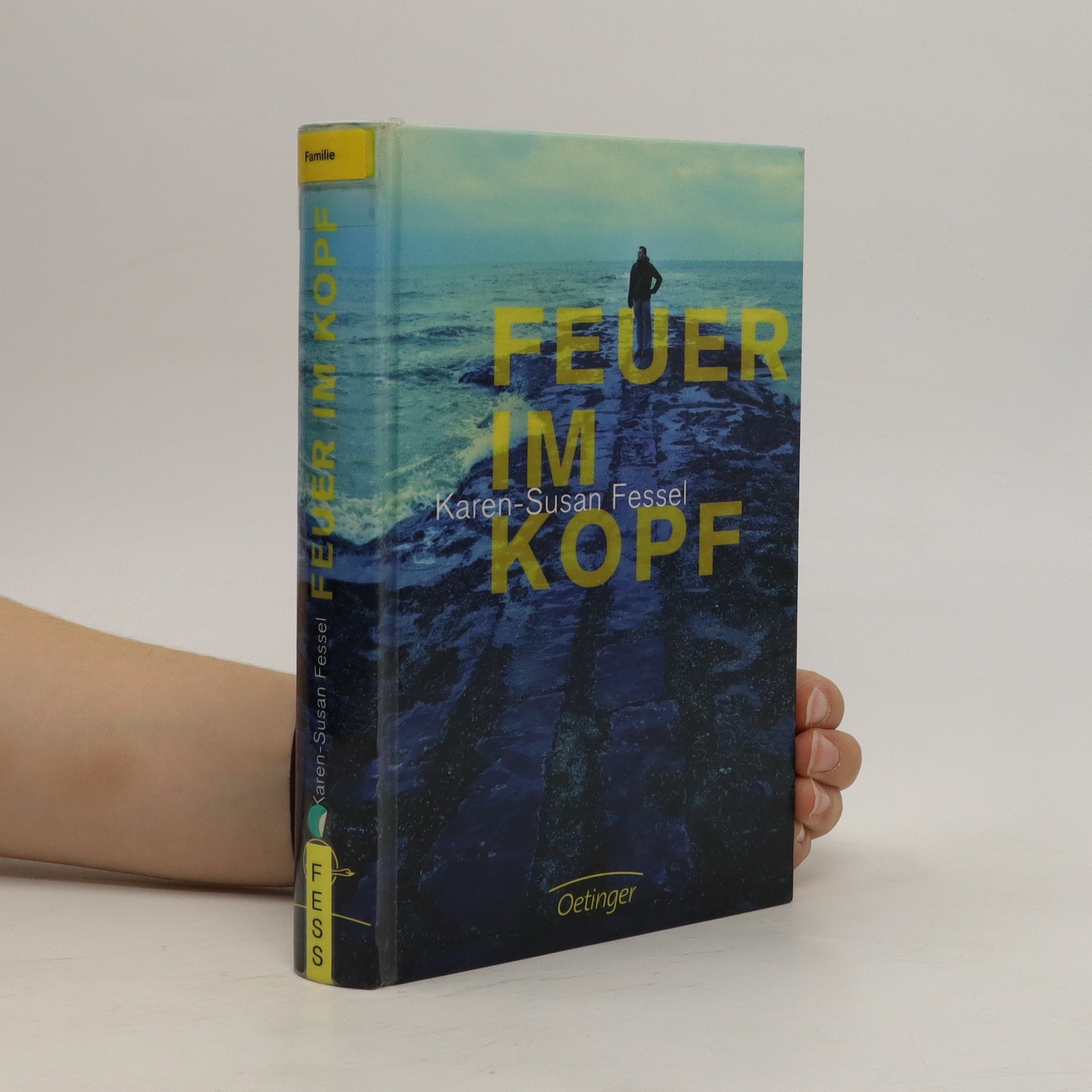 Feuer im Kopf - Karen Susan Fessel - knihobot.cz