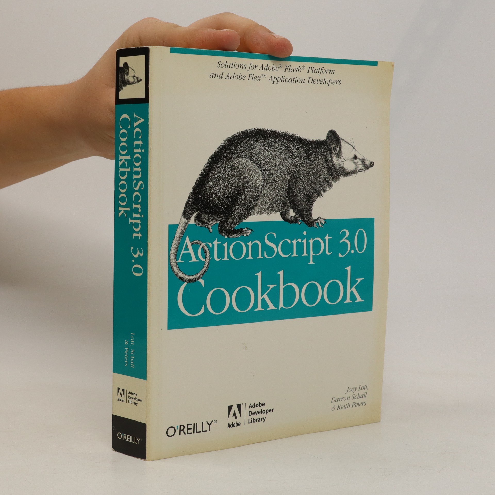 ActionScript 3.0 Cookbook - Keith Peters - knihobot.cz