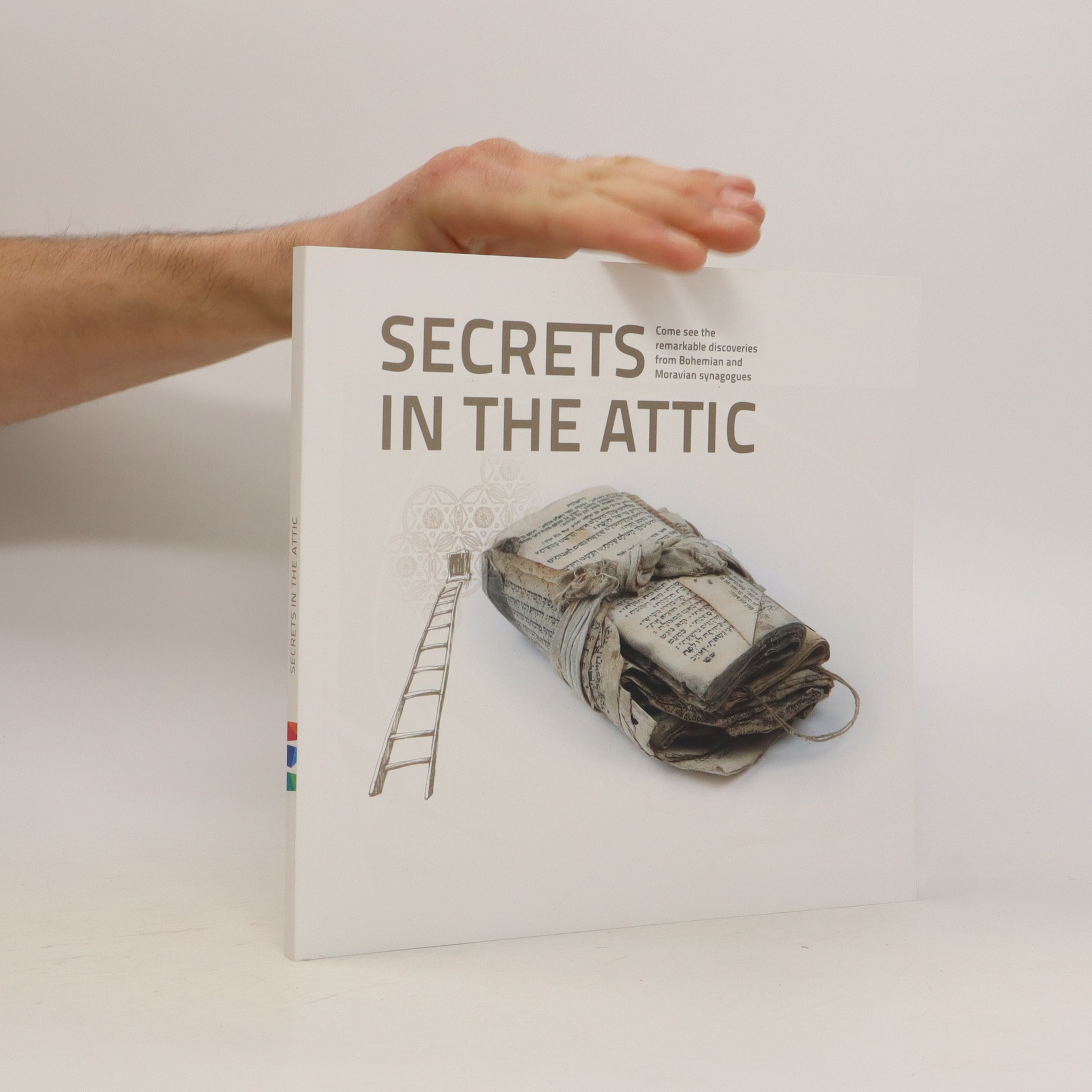 Secrets in the attic - Lenka Uličná - knihobot.cz