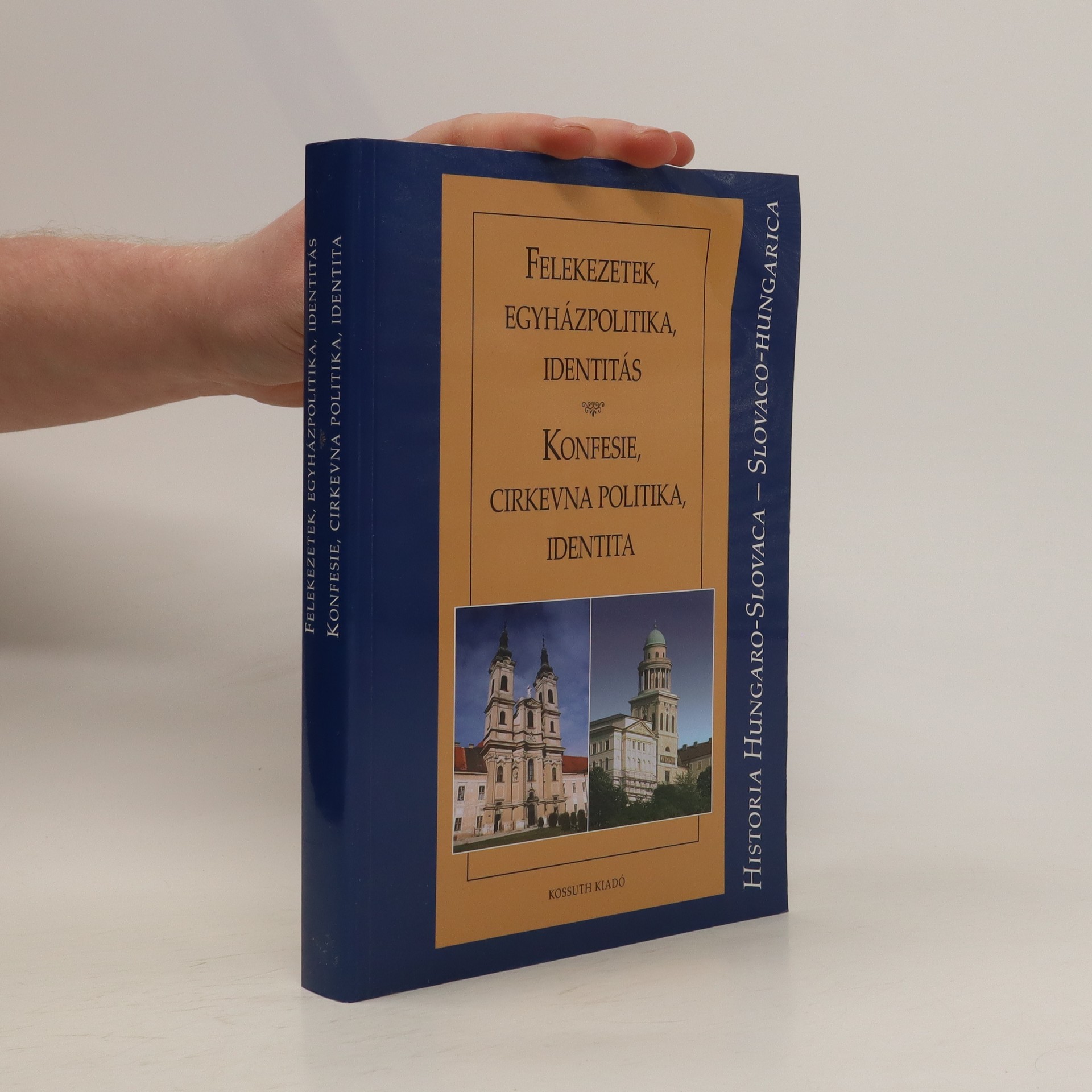 Felekezetek, egyházpolitika, identitás. Konfesie, cirkevná politika ...