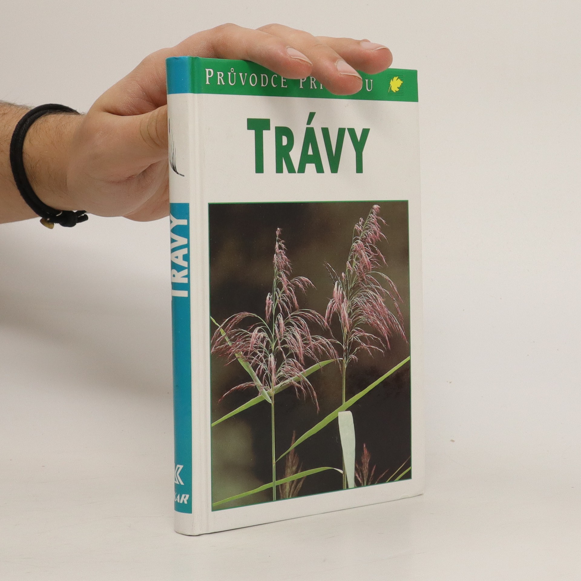 Trávy: lipnicovité, šáchorovité, sítinovité a rostliny podobné travám ...