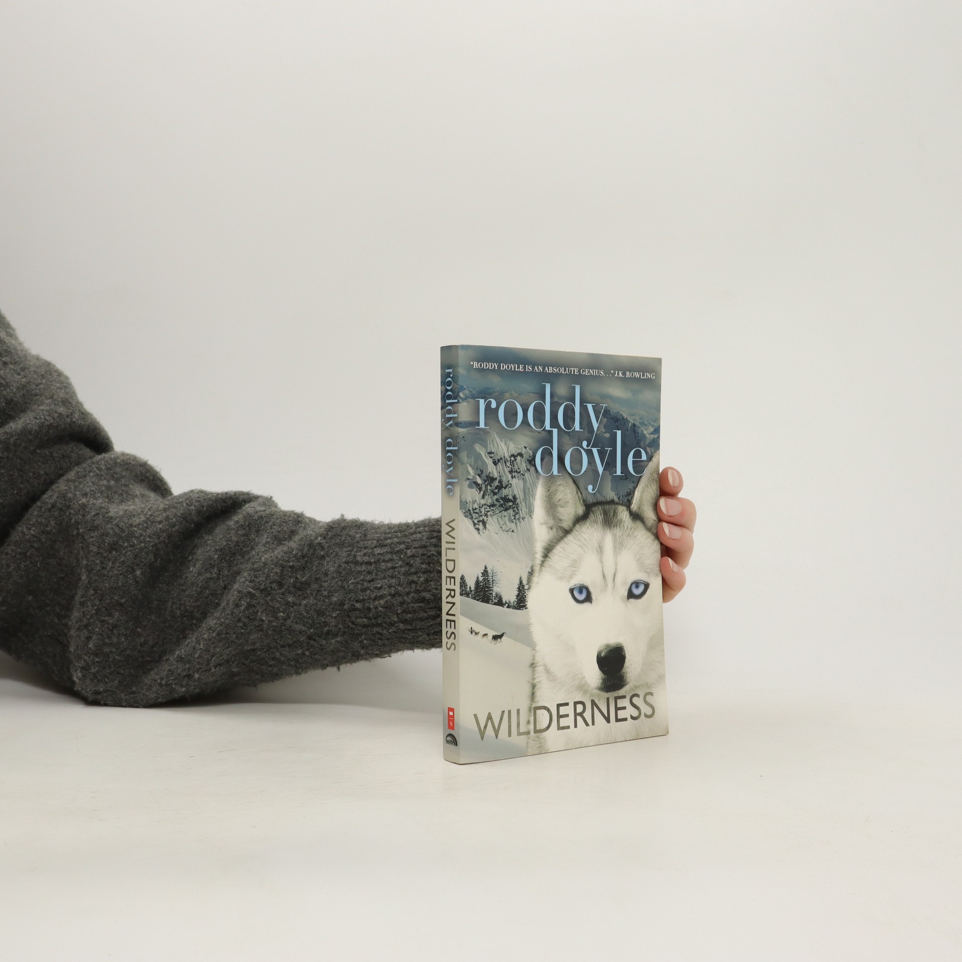 Wilderness - Roddy Doyle - knihobot.cz