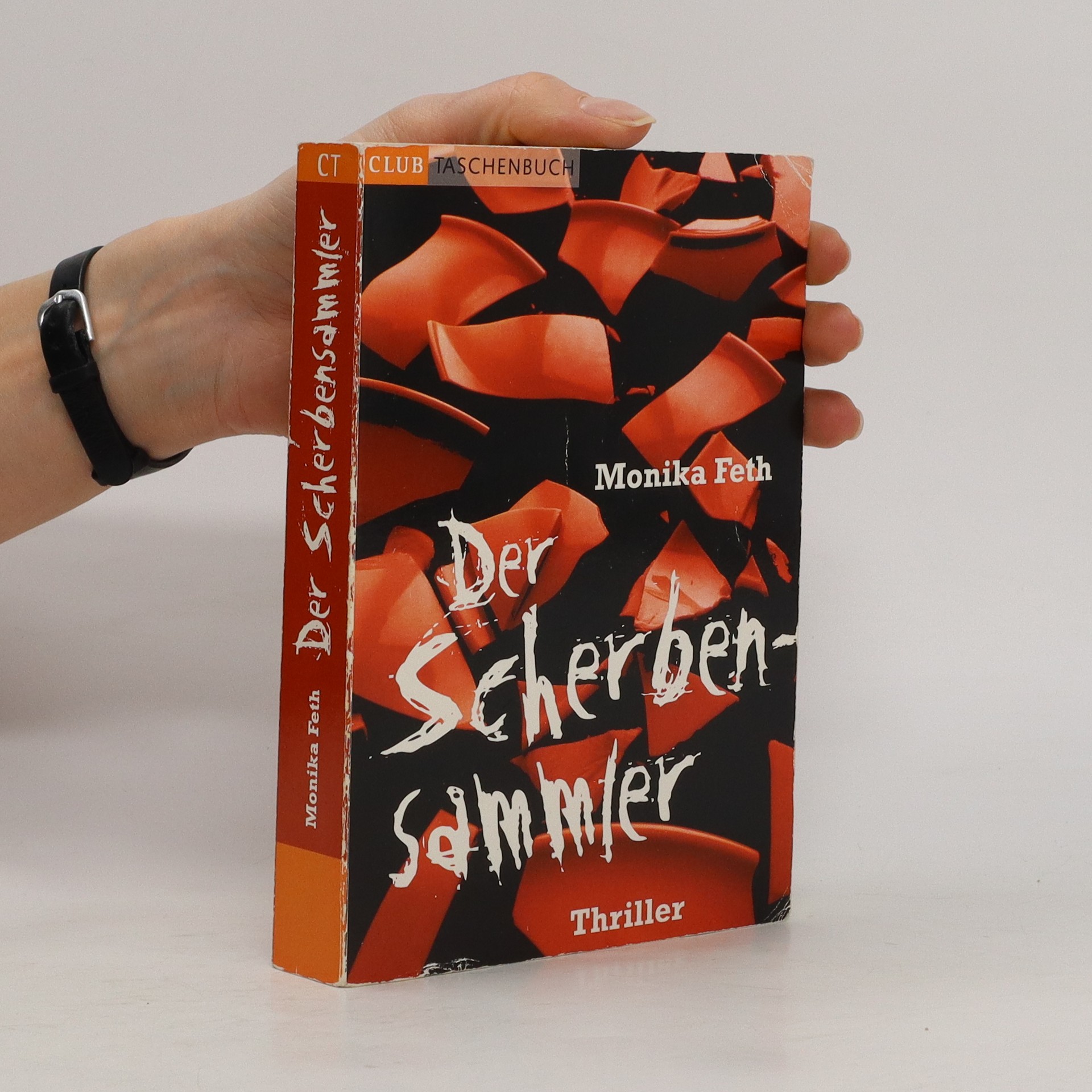 Der Scherben-sammer - Monika Feth - knihobot.cz