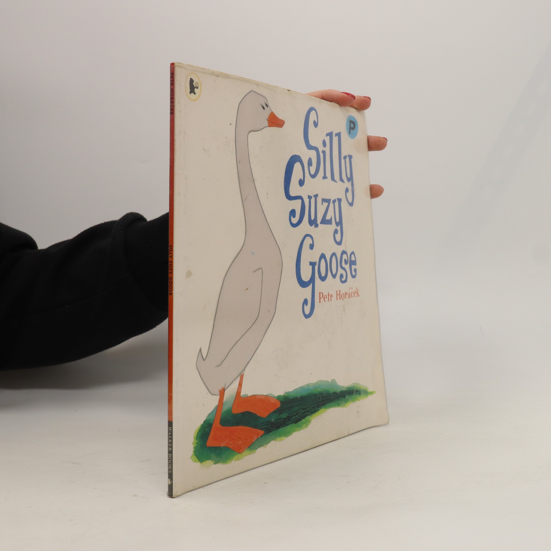 Silly Suzy Goose - Petr Horáček - knihobot.cz