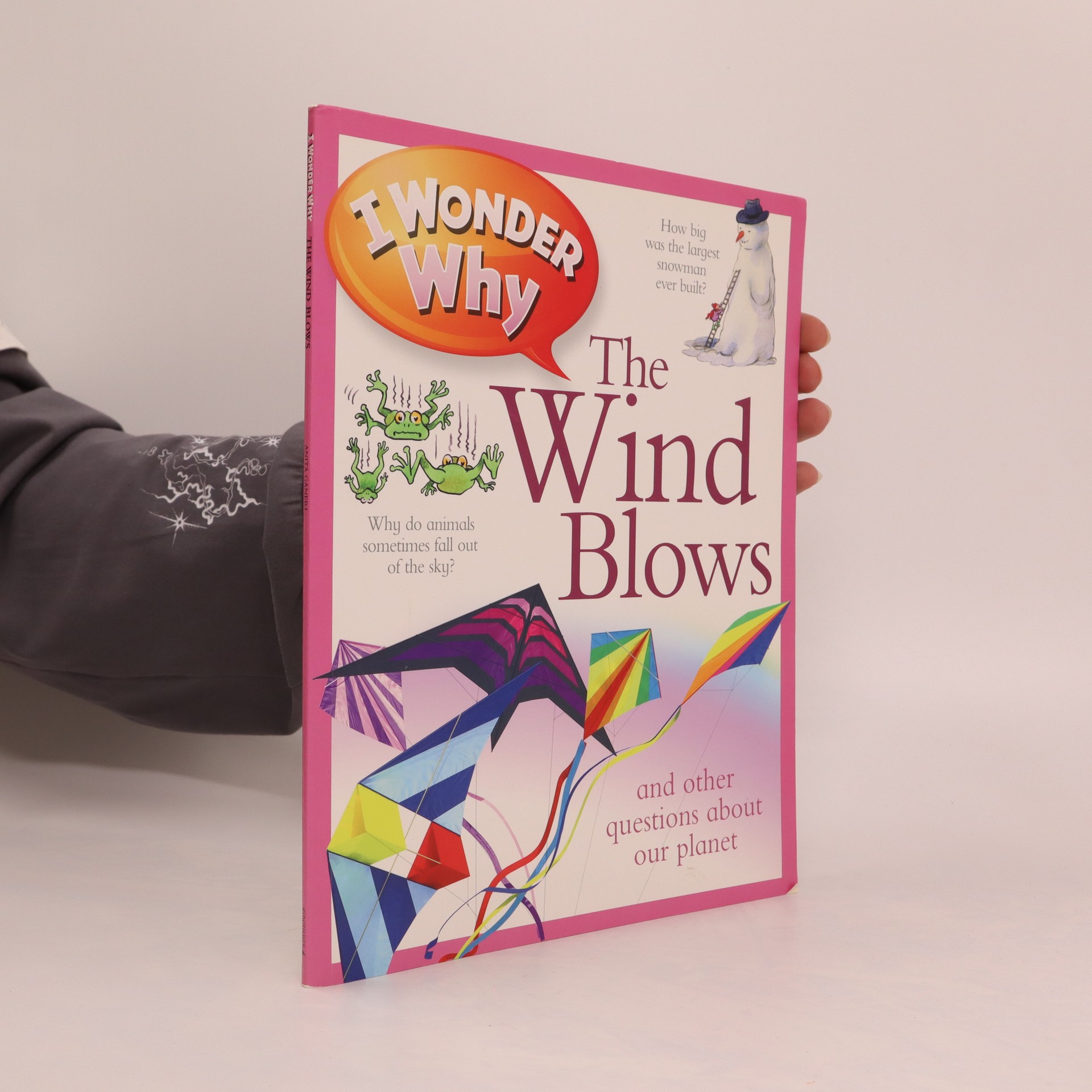 I Wonder Why the Wind Blows - Anita Ganeri - knihobot.cz