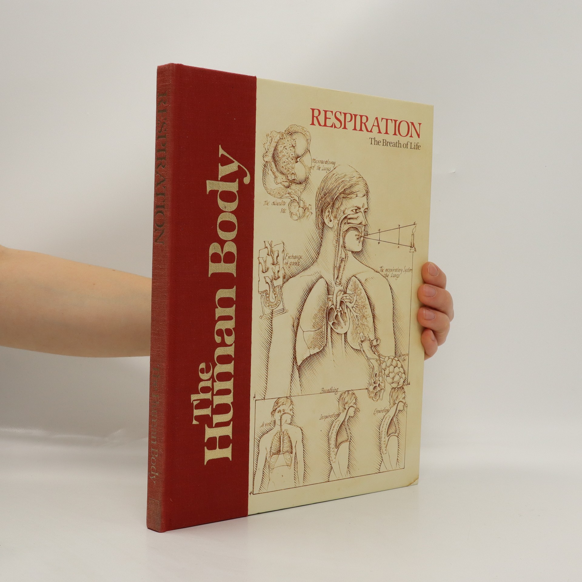 Respiration, the Breath of Life - Sebel, Peter - knihobot.sk