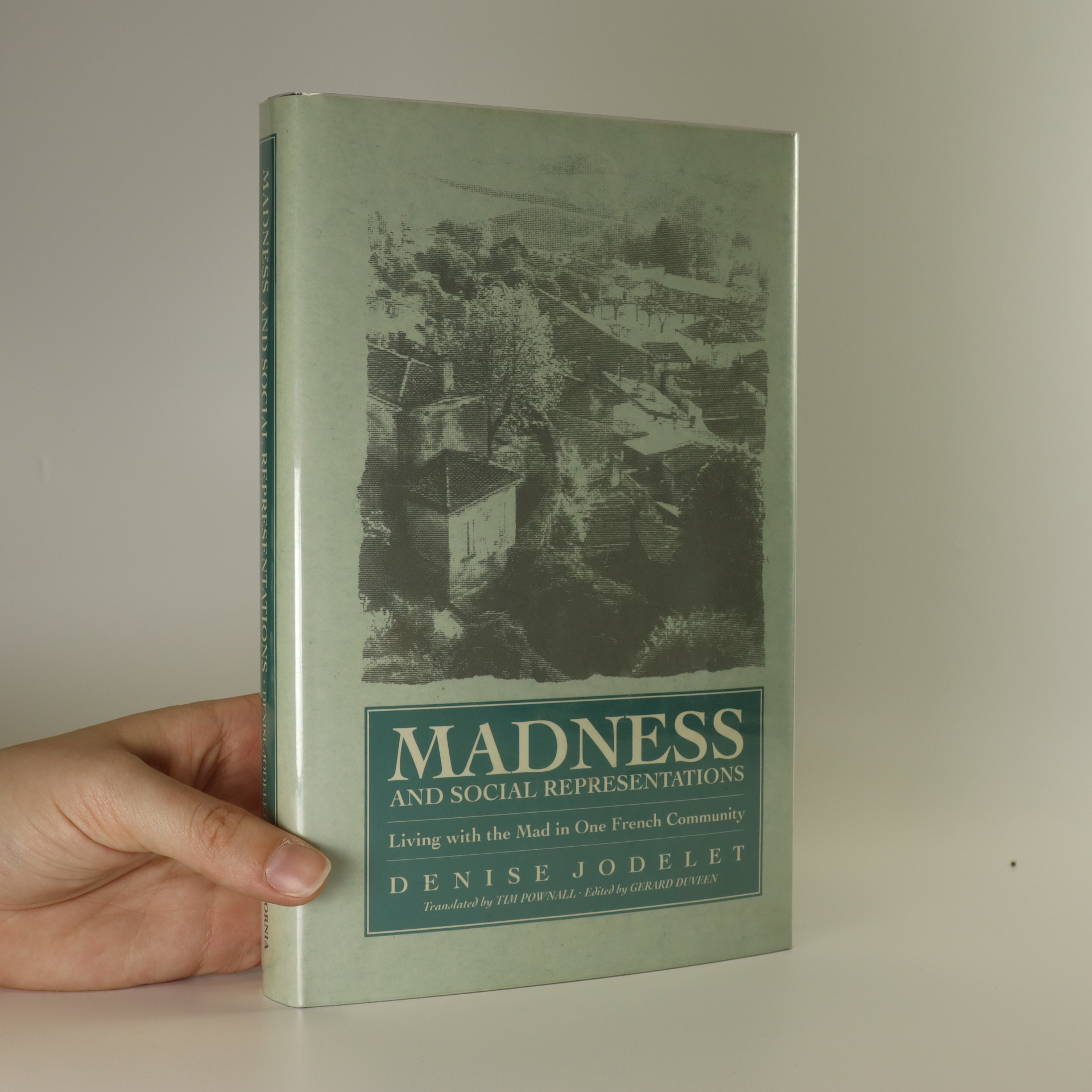 Madness and Social Representations - Denise Jodelet - knihobot.cz