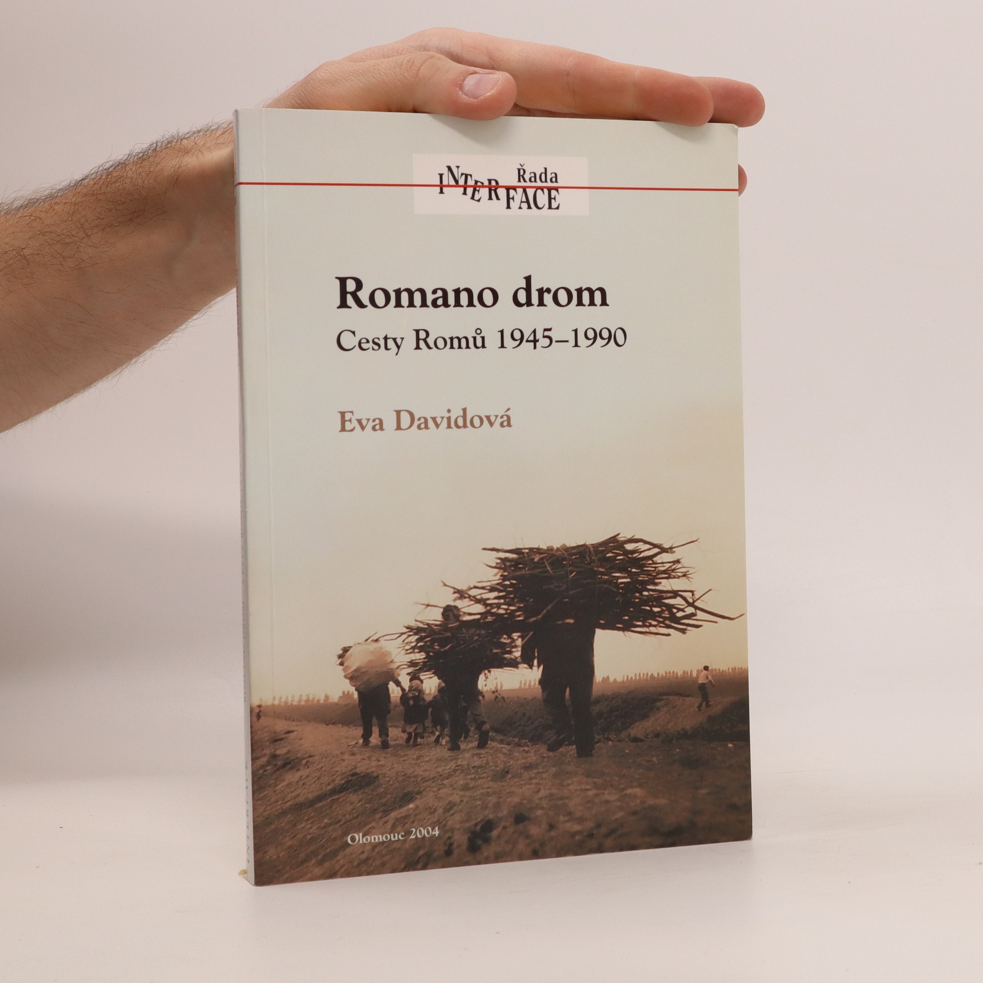 Cesty Romů - Romano drom 1945-1990 - Davidová, Eva - knihobot.cz